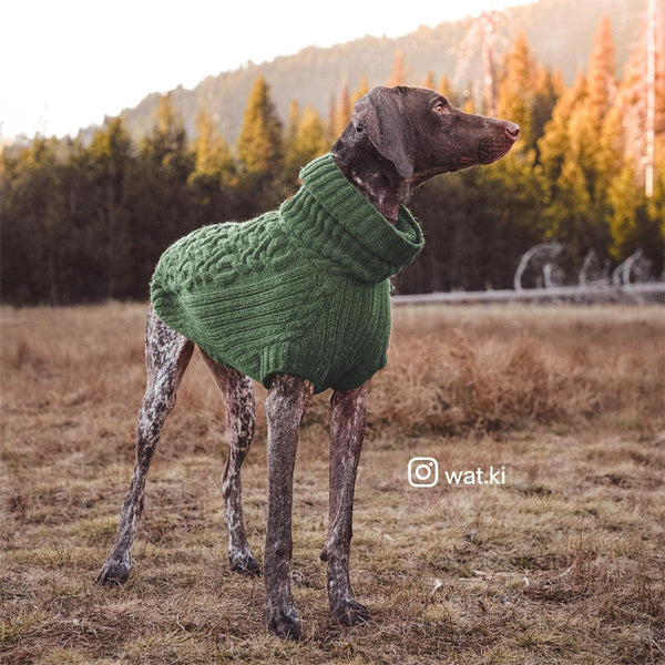 German Shorthaired Pointer GSP Handknit Sweaters - Red Bark Shop
